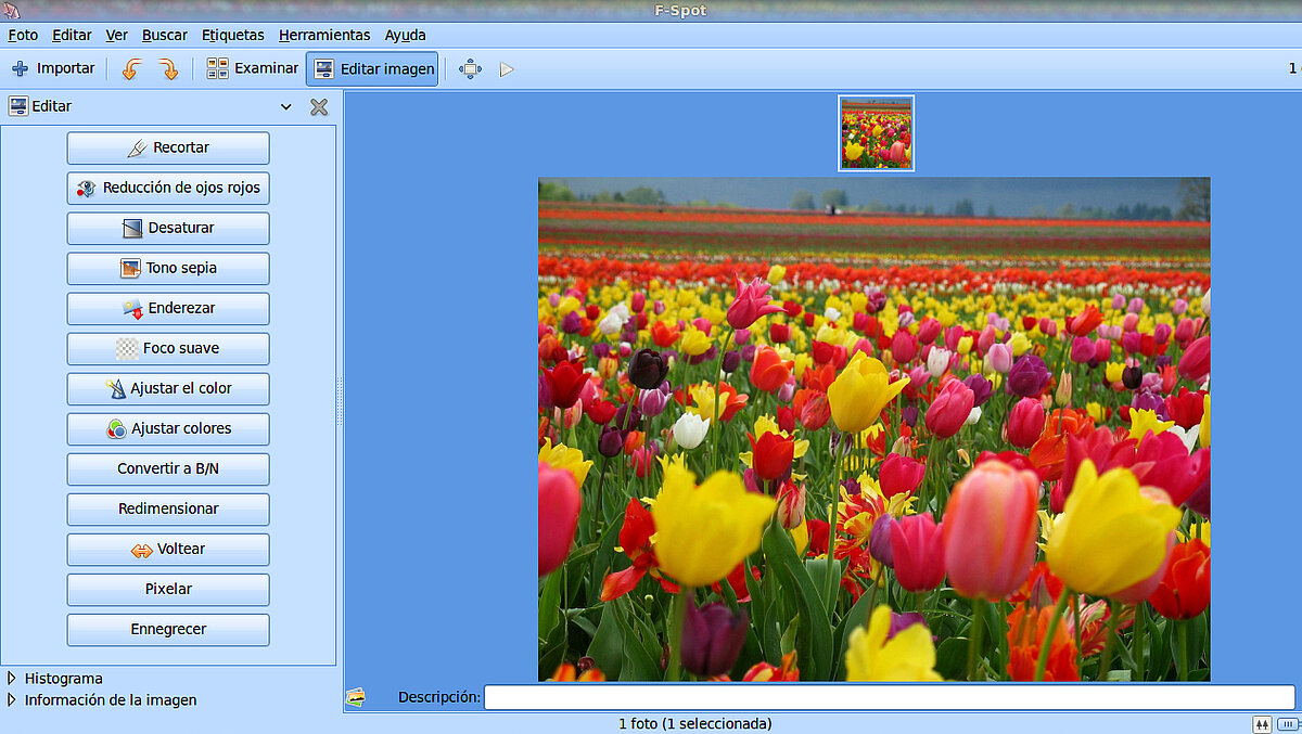Gestiona tus fotos de forma sencilla e intuitiva con F-Spot - BILIB